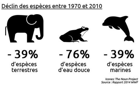 Wwf Alerte Sur La Surexploitation Des Ressources Naturelles