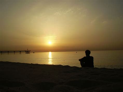 Silhouette Man Sitting Sea Shore Watching Sunset Beach Person
