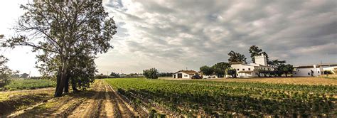Agricultura Ecol Gica Hawo Fruits Spain