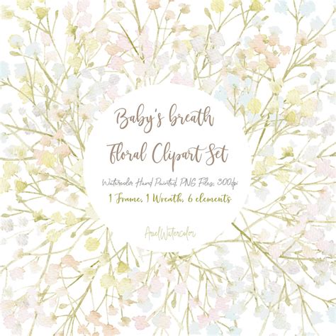 Watercolor Baby S Breath Floral Clipart Png Files Hand Painted Floral