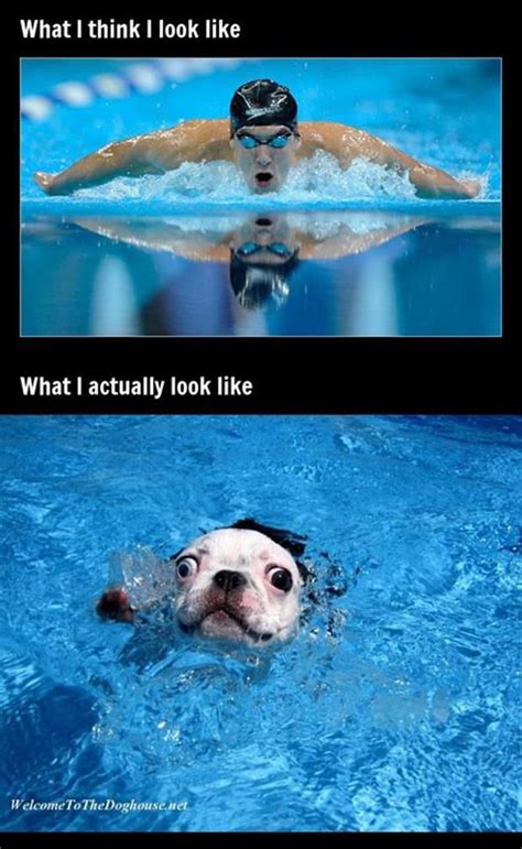 20 Perfect Expectations Vs Reality Memes