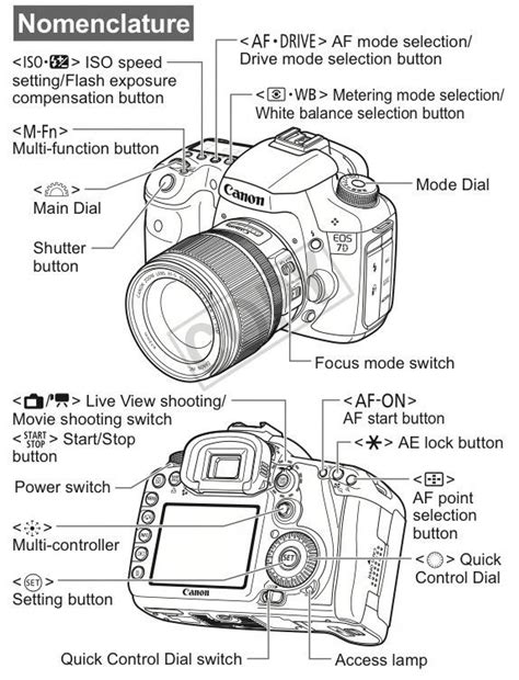 Canon Cameras Great Article With Lots Of Insights About Photography