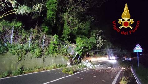 Frana A Castiglione Chiavarese In Provincia Di Genova Massi E Alberi