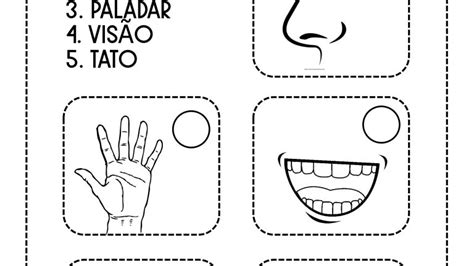 Educação Infantil atividades para trabalhar os 5 sentidos Blog