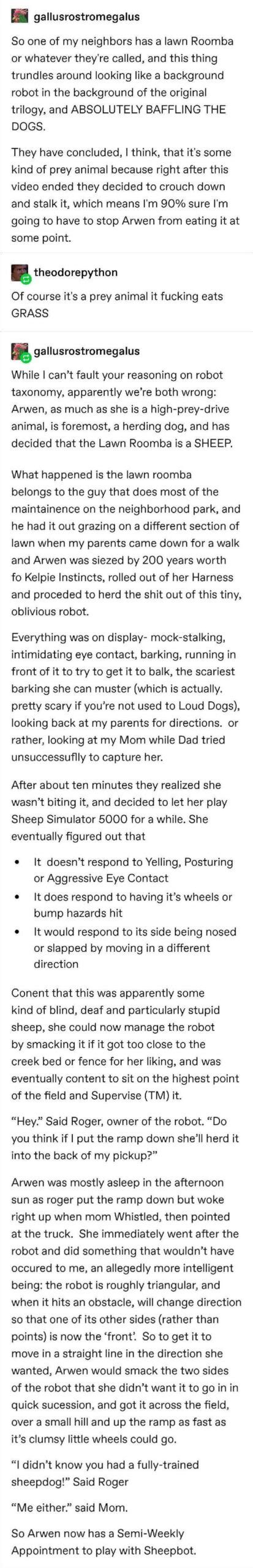 Funniest Pictures Of All Time Tumblr