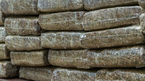 Na graničnom prelazu Vraćenovići zaplijenjeno više od 120 kilograma