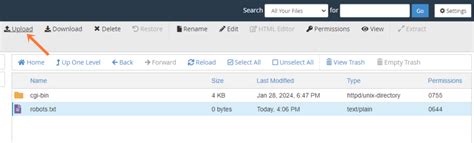 How To Use File Manager In CPanel MumuHost