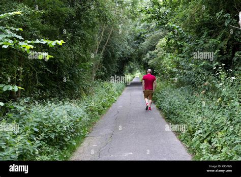 Man Walking Down A Paved Path In Woods Setting Hi Res Stock Photography