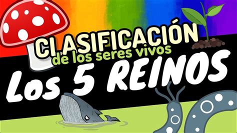 Los Reinos Caracter Sticas Generales Margulis Gu A De Biolog A