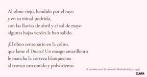 Explorando La Belleza De Los Versos Poemas Con Met Foras En Estrofas