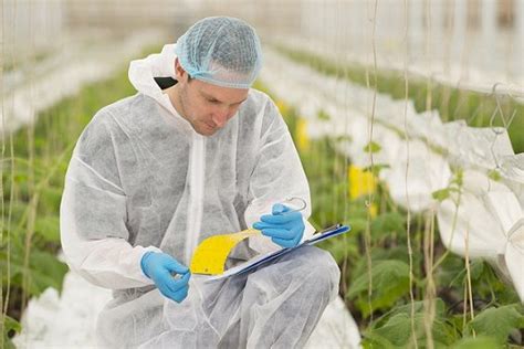 Técnicas Y Instrumentos De Investigación En 2024