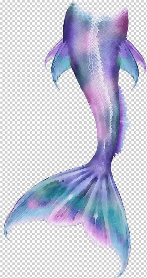 Dessin De Sirène Aquarelle Peinture Encre Humide Merman Queue