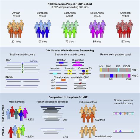 Researchers Expand And Upgrade The 1000 Genomes Project Resource Using