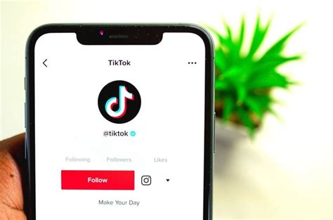 C Mo Conseguir Seguidores En Tiktok Estrategias Probadas