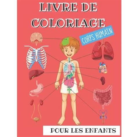 Livre De Coloriage Corps Humain Pour Les Enfants Dessins Livre De