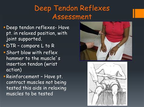 Deep Tendon Reflexes Upper Extremity