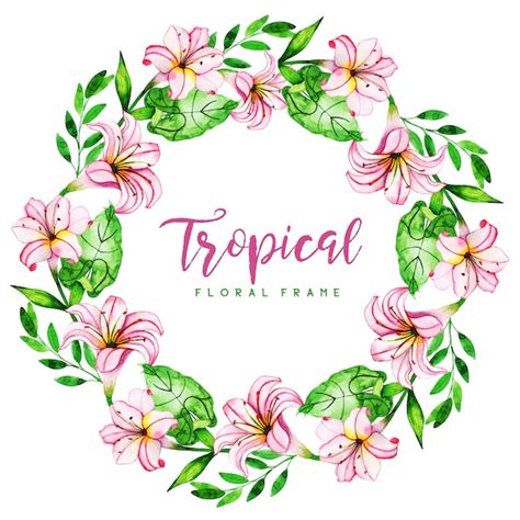 Fondo Acuarela Marco Floral Tropical Vector Premium