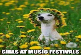 26 Pics That Sum Up Music Festivals Gallery EBaum S World