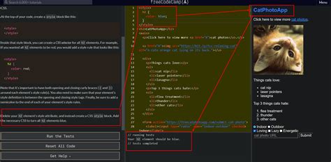 running tests your h2 element should be blue html css the freecodecamp forum