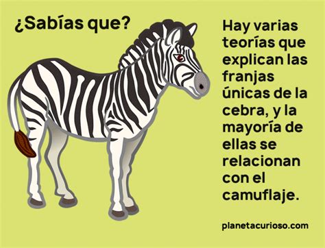 17 Datos Curiosos para niños que tal vez ni tú sabías