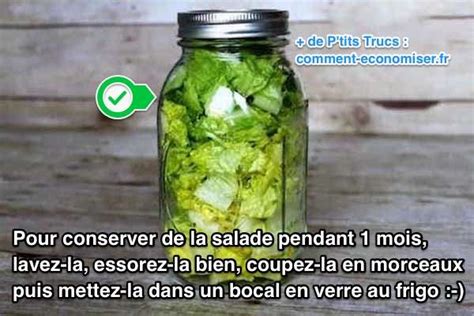 Comment Conserver De La Salade Au Frigo Lee Byes