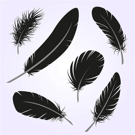 Vector Realistic White Feathers Collection Set Of Fluffy Feathers