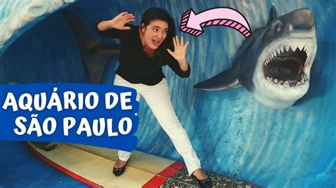 Tour Aquário de São Paulo Onde fica e principais atrações YouTube