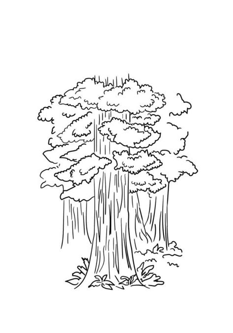 Planse de Colorat cu Plante și Copaci Desene de Colorat