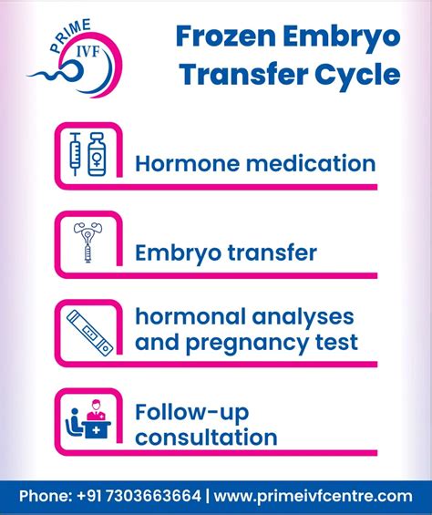 Frozen Embryo Transfer Process Step By Step Prime IVF