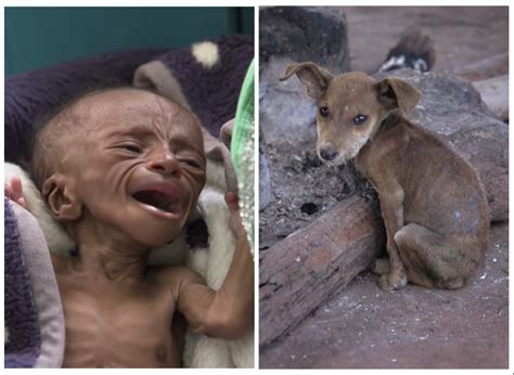 Angola Tara Unde Mor Cei Mai Multi Copii Din Lume