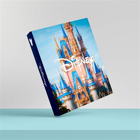 Album Fichário Para Fotos Disney PopPics Amou Imprima