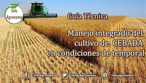 Manejo Integrado Del Cultivo De Cebada InfoAgronomo