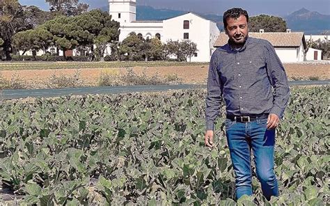 Hawo Fruits Spain Especialistas En Agricultura Ecol Gica