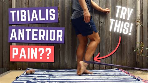 Tibialis Posterior Tendinopathy Rehab And Strengthening 43 OFF