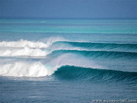 Descubrir 62 Imagen Lame De Fond Vague Fr Thptnganamst Edu Vn