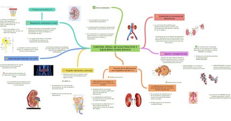 Fisiología Medica Control Renal de Electrolitos y Equilibrio Ácido básico