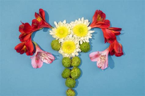 How To Cure Pcos Naturally Rating Mania