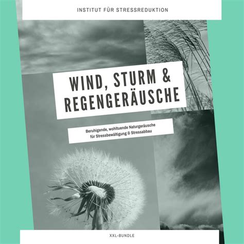 Wind Sturm Regengeräusche Beruhigende wohltuende Naturgeräusche