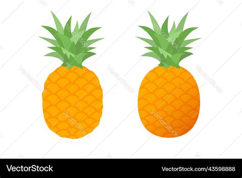 Pineapple Fruit Clipart Isolated On White Vector Image