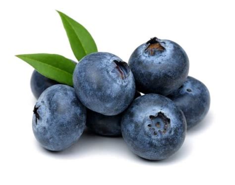 15 Amazing Health Benefits Of Blueberries RecipesClub Org