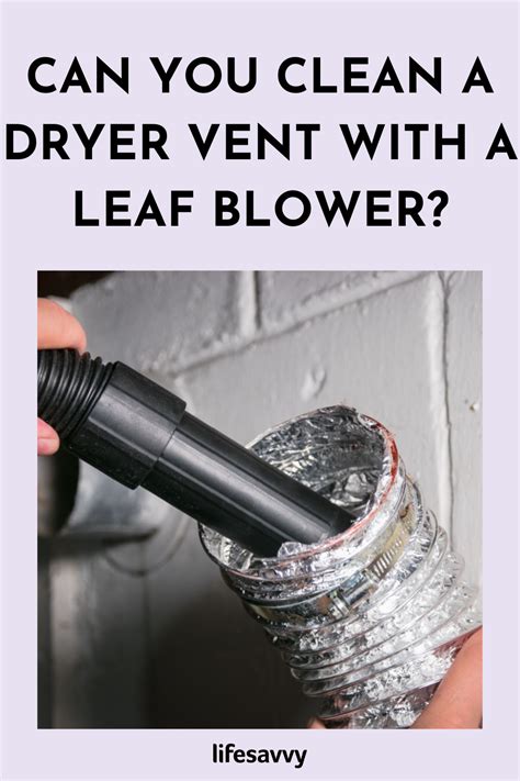 Can You Clean A Dryer Vent With A Leaf Blower Artofit
