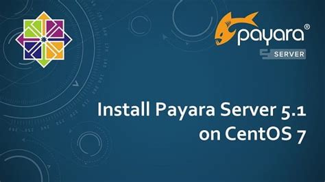 How To Install Payara Server On CentOS 7 CentLinux