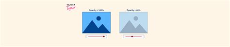 How To Change Background Image Opacity In Css Scaler Topics