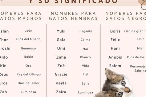 Divertidos Y Originales Apodos De Daisy Descubre Las Mejores
