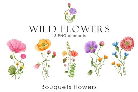 Wild Flowers Watercolor Clipart Wildflowers Bouquets Botanical