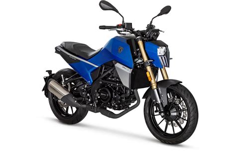 Peugeot PM 01 125 Et 300 Les Motos Au Lion Sont De Retour