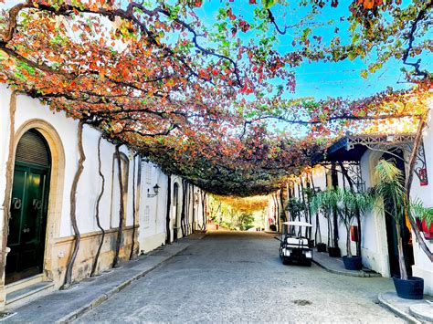 10 Lugares Que Ver En Jerez De La Frontera