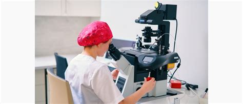Pary zmagające się z niepłodnością mogą skorzystać z refundacji in vitro