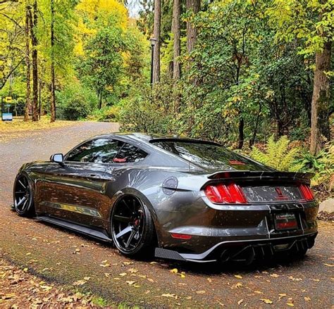Fort Mustang New Mustang Ford Mustang Shelby Gt500 S550 Mustang