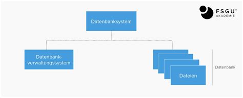 Datenbankmanagementsysteme Definition FSGU Akademie